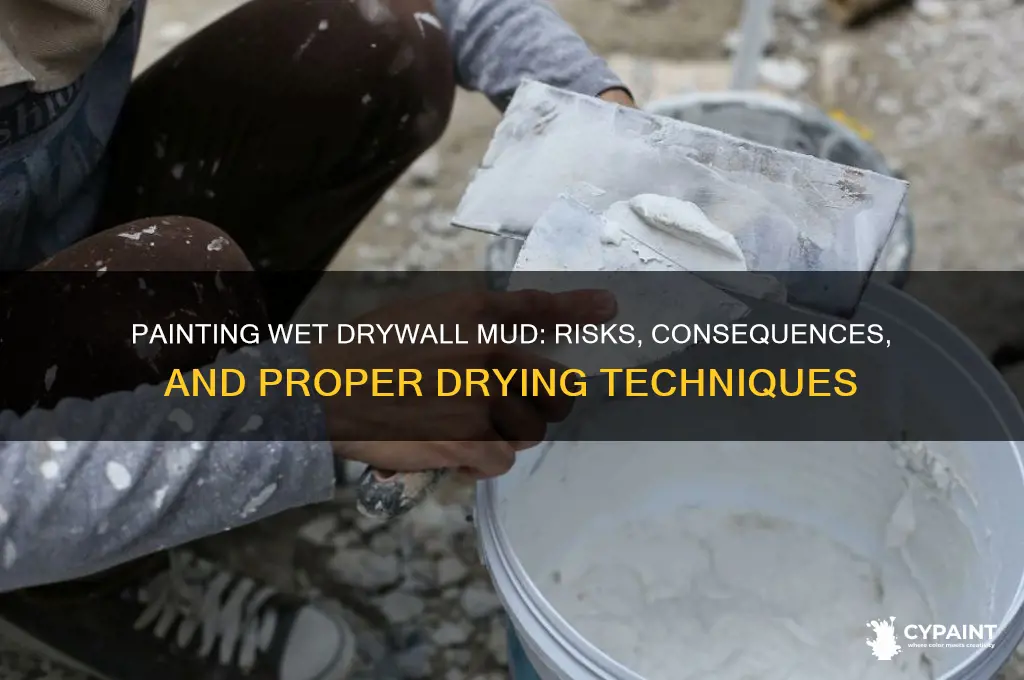 Painting Wet Drywall Mud: Risks, Consequences, And Proper Drying ...