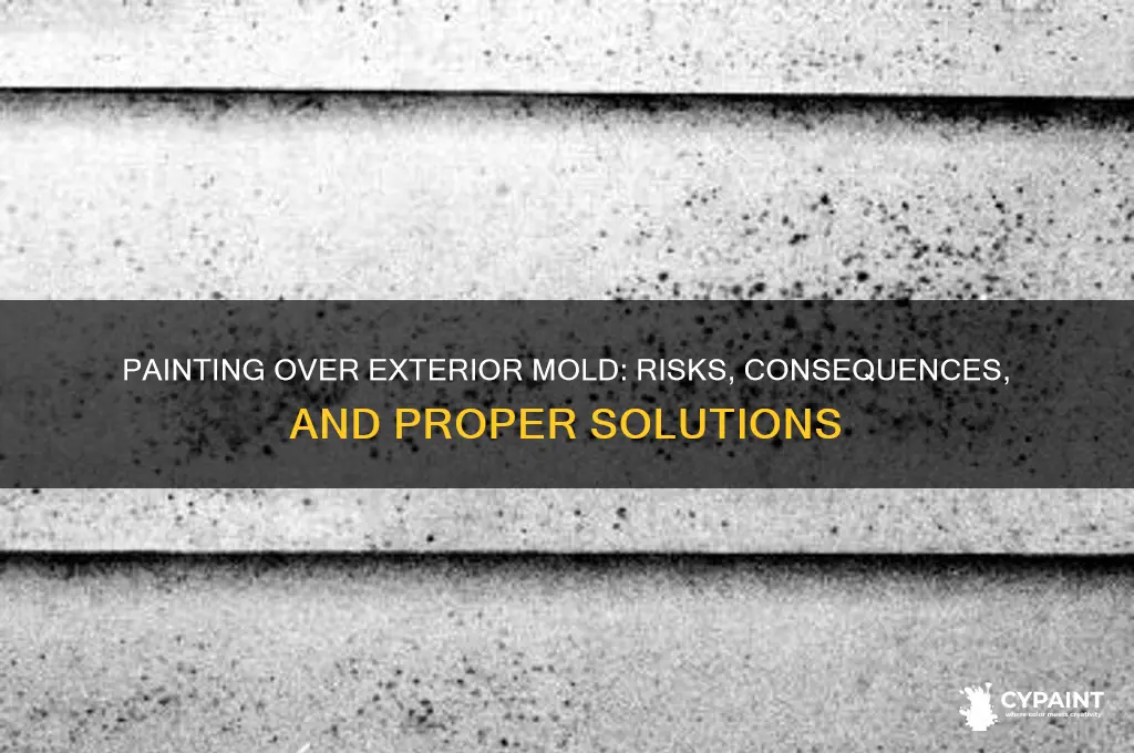Painting Over Exterior Mold: Risks, Consequences, And Proper Solutions ...