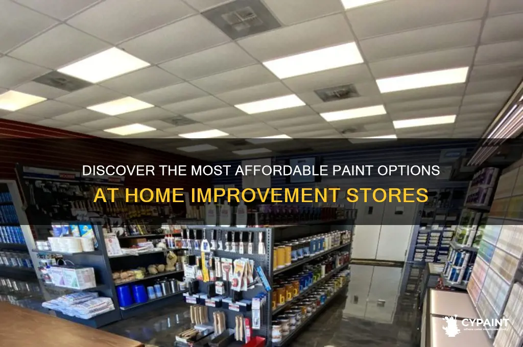 Discover The Most Affordable Paint Options At Home Improvement Stores ...