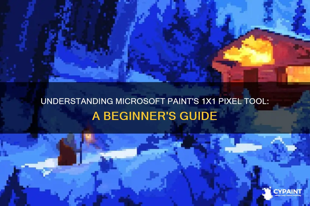 Understanding Microsoft Paint's 1X1 Pixel Tool: A Beginner's Guide ...