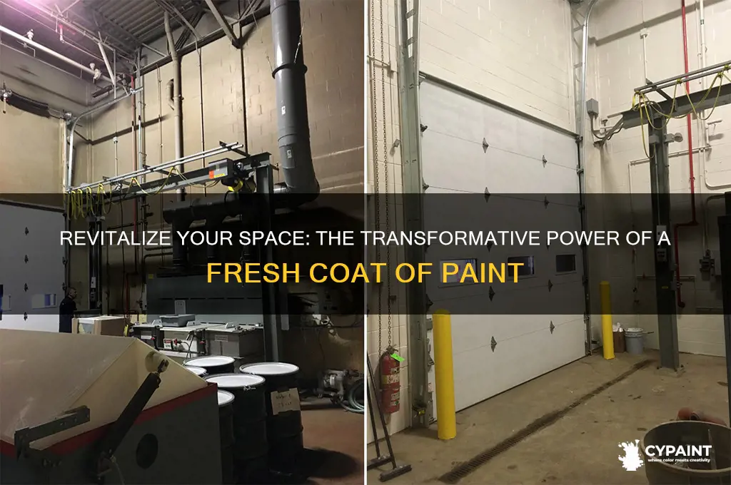 Revitalize Your Space: The Transformative Power Of A Fresh Coat Of ...