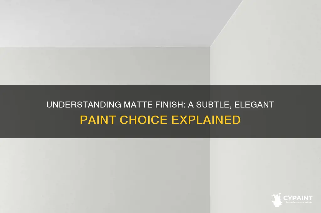 Understanding Matte Finish: A Subtle, Elegant Paint Choice Explained ...
