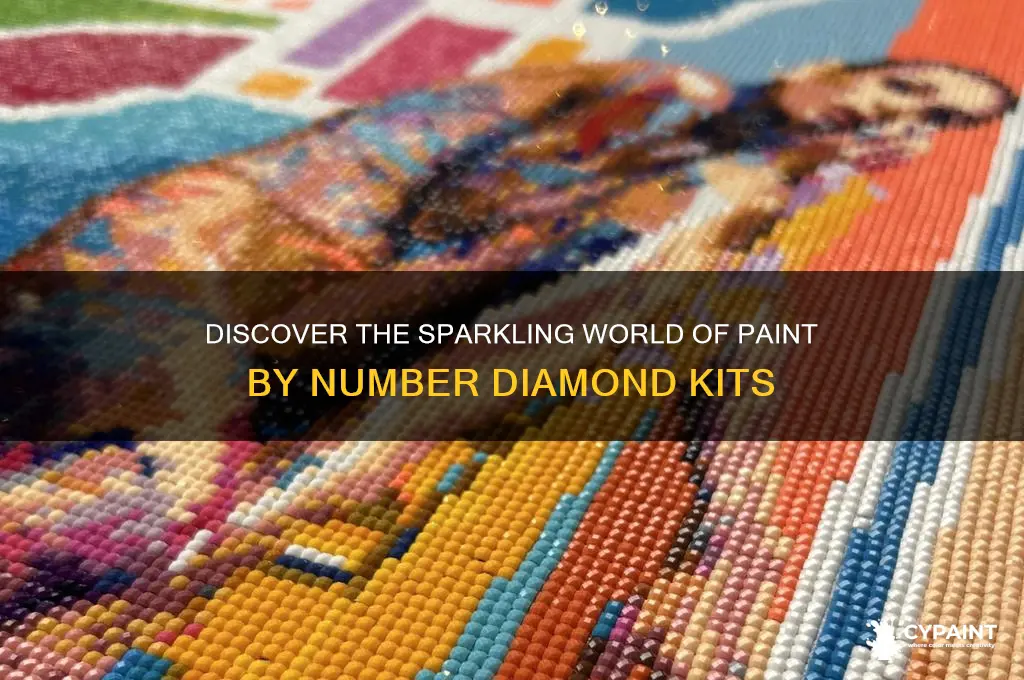 Discover The Sparkling World Of Paint By Number Diamond Kits | CyPaint