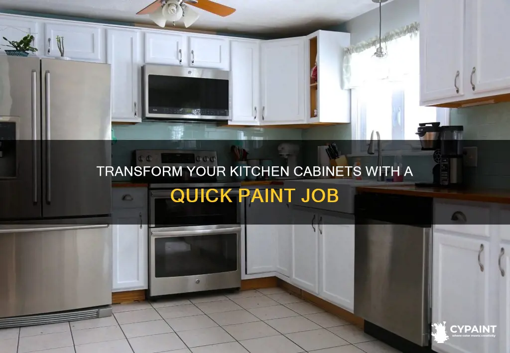 Transform Your Kitchen Cabinets With A Quick Paint Job | CyPaint