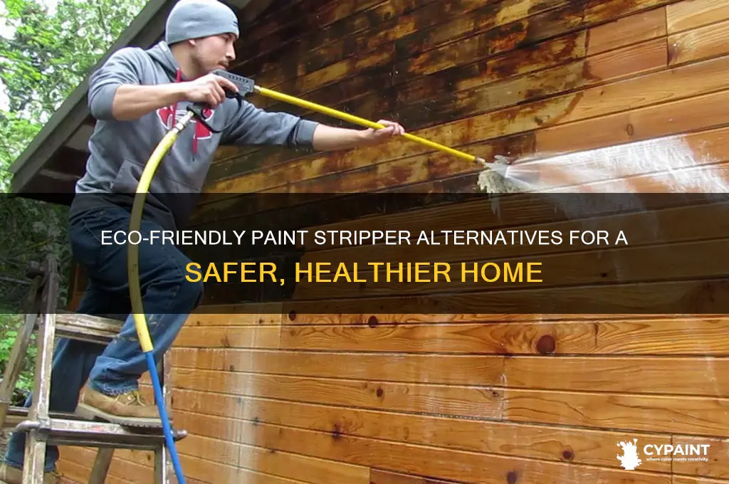 Eco-Friendly Paint Stripper Alternatives For A Safer, Healthier Home ...