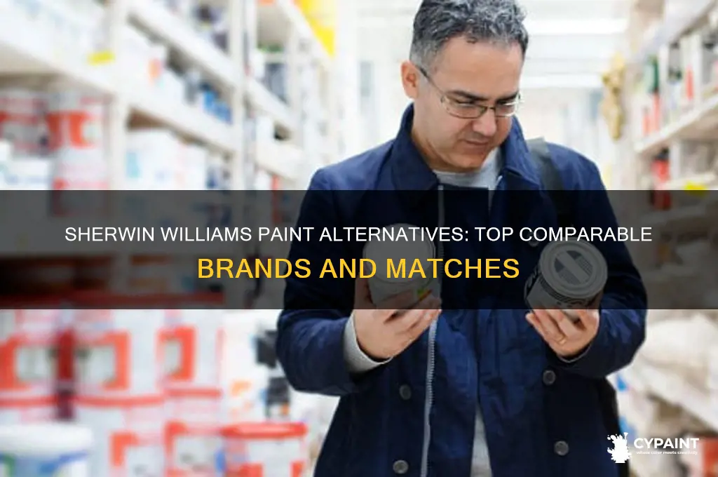 Sherwin Williams Paint Alternatives: Top Comparable Brands And Matches ...