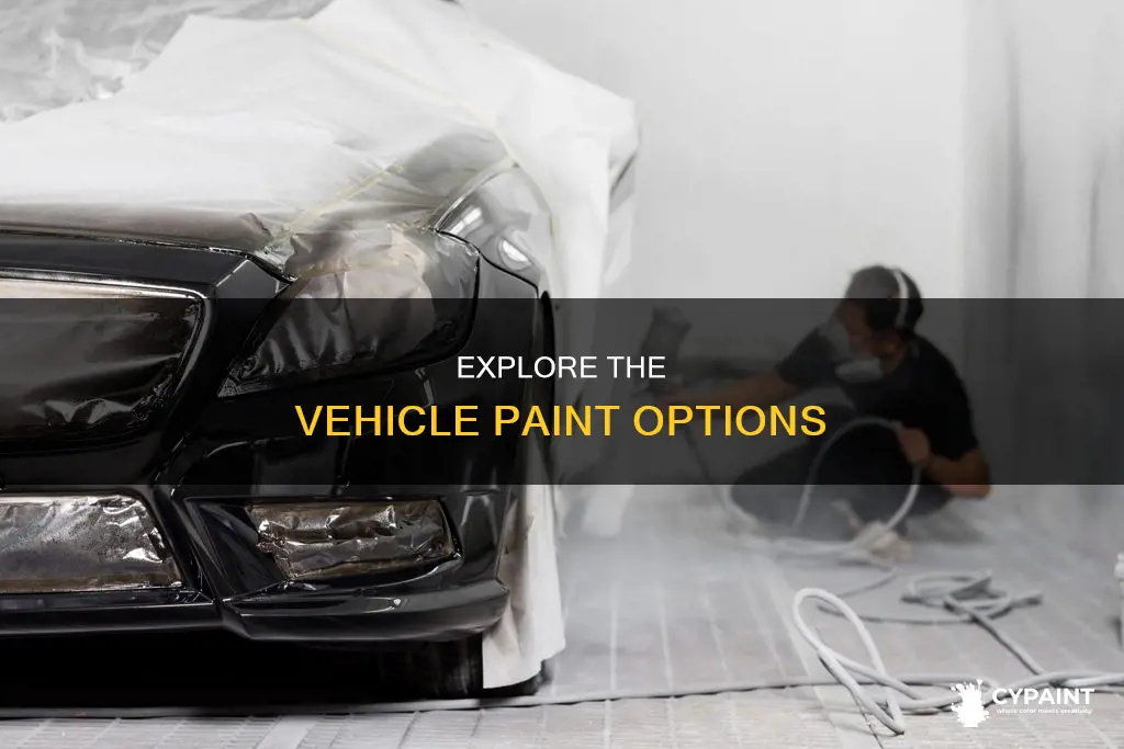 Explore The Vehicle Paint Options | CyPaint
