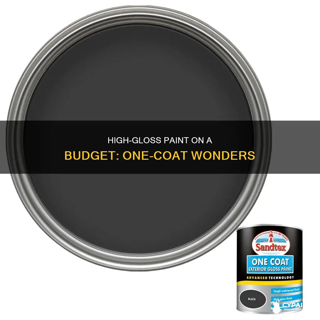 High-Gloss Paint On A Budget: One-Coat Wonders | CyPaint