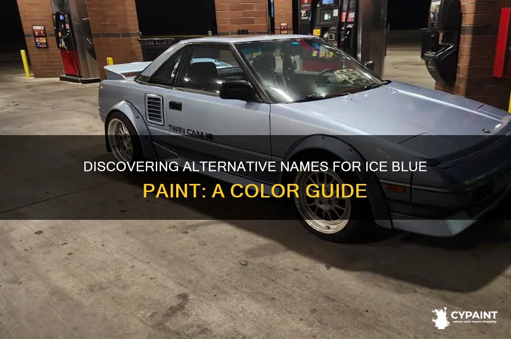 Discovering Alternative Names For Ice Blue Paint: A Color Guide | CyPaint