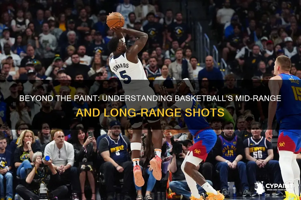 Beyond The Paint: Understanding Basketball's Mid-Range And Long-Range ...