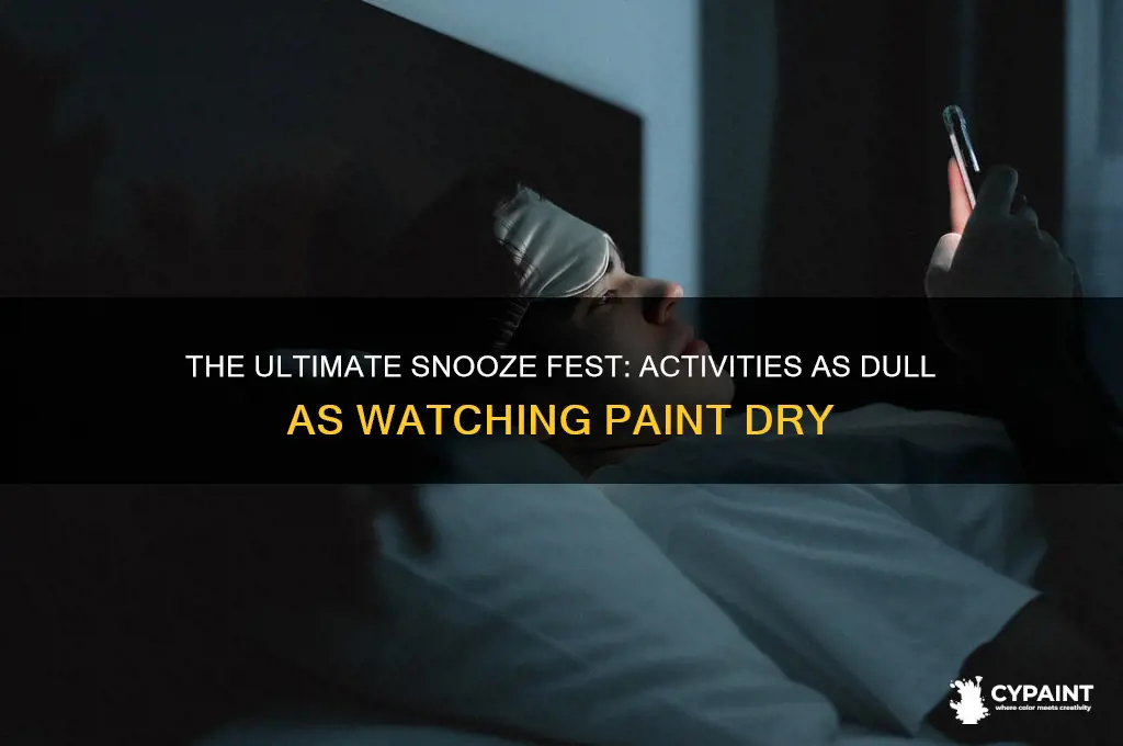 The Ultimate Snooze Fest: Activities As Dull As Watching Paint Dry ...