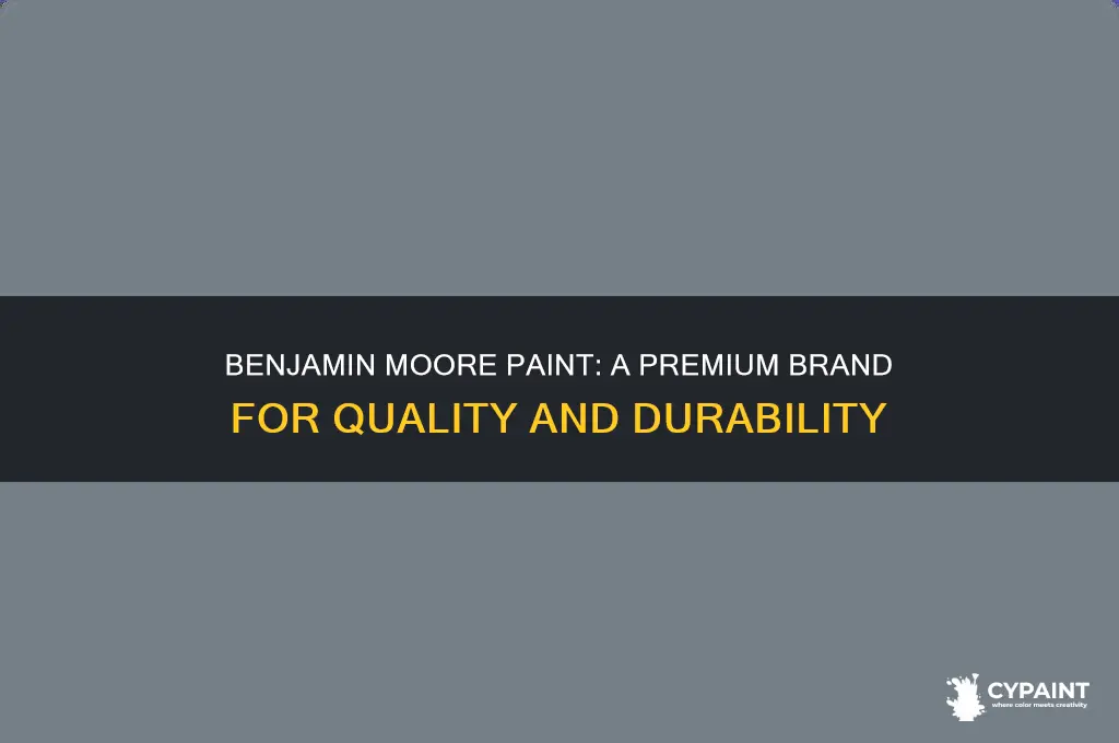 Benjamin Moore Paint: A Premium Brand For Quality And Durability | CyPaint