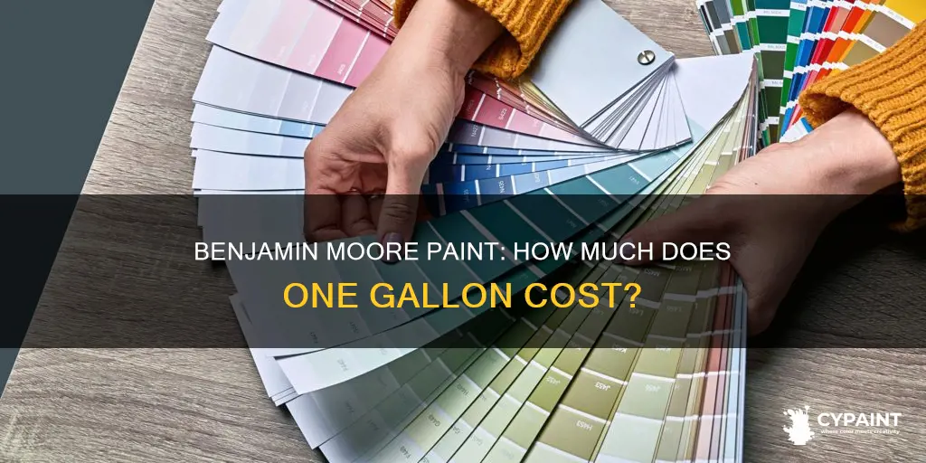 Cost Of A Gallon Of Paint Benjamin Moore