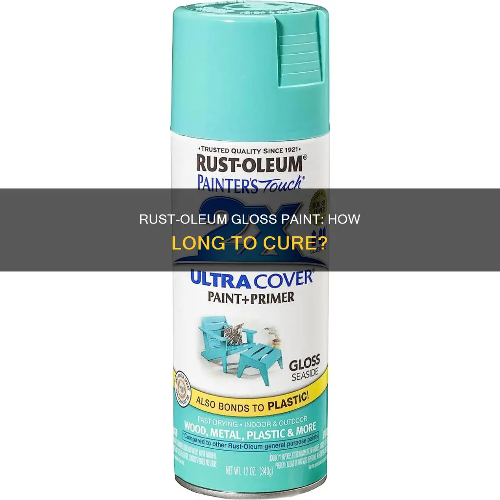 Rust-Oleum Gloss Paint: How Long To Cure? | CyPaint