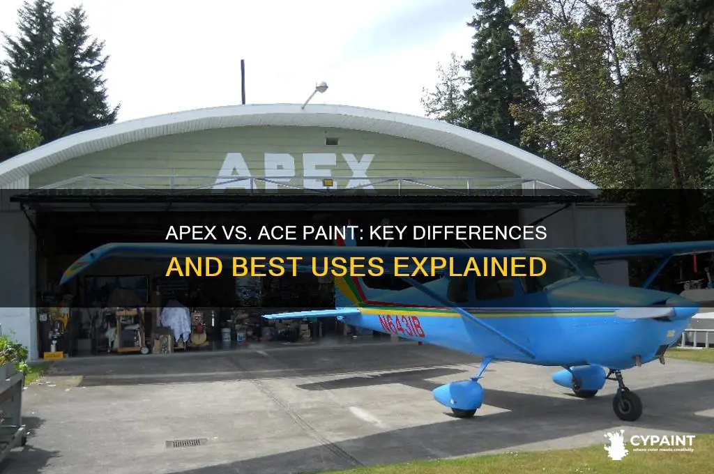 Apex Vs. Ace Paint: Key Differences And Best Uses Explained | CyPaint