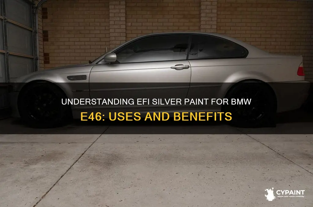 Understanding Efi Silver Paint For Bmw E46: Uses And Benefits | CyPaint