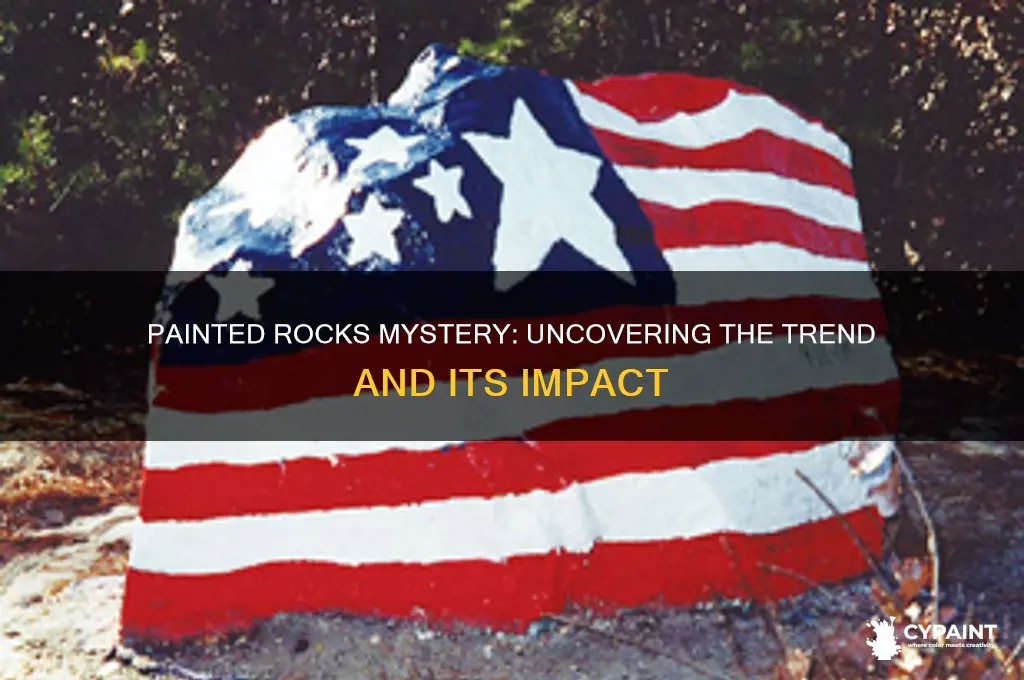 Painted Rocks Mystery: Uncovering The Trend And Its Impact | CyPaint