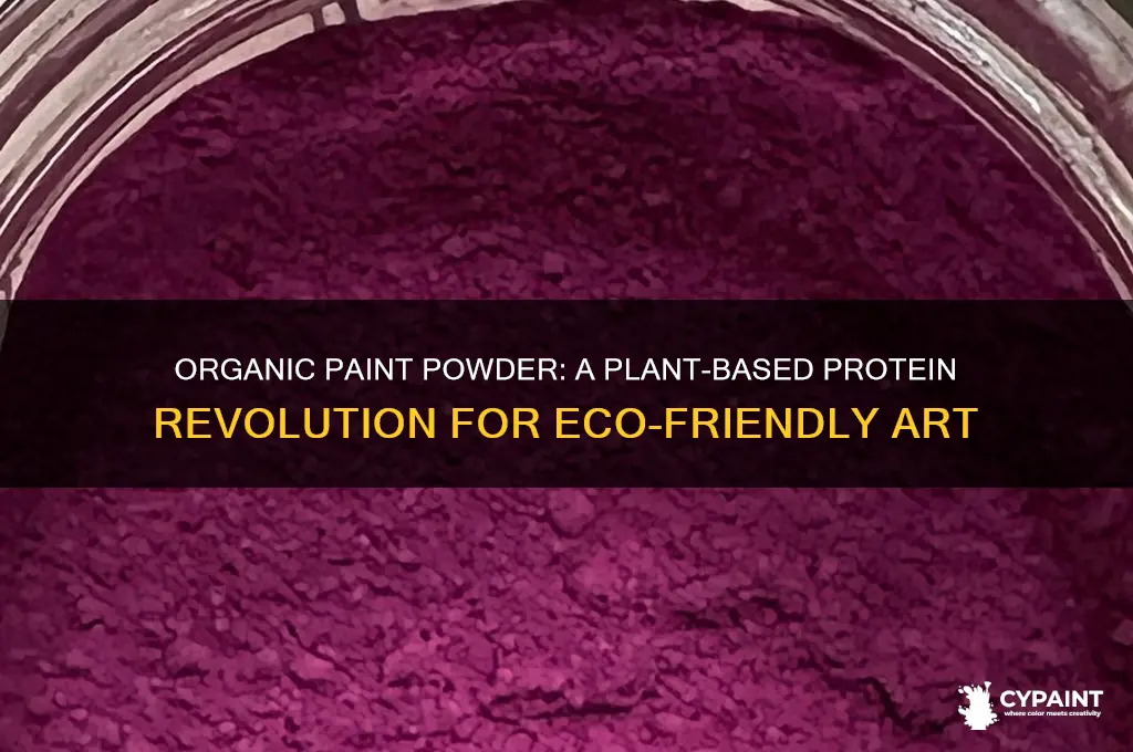 Organic Paint Powder: A Plant-Based Protein Revolution For Eco-Friendly ...