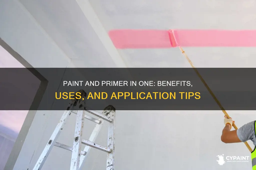 Paint And Primer In One: Benefits, Uses, And Application Tips | CyPaint