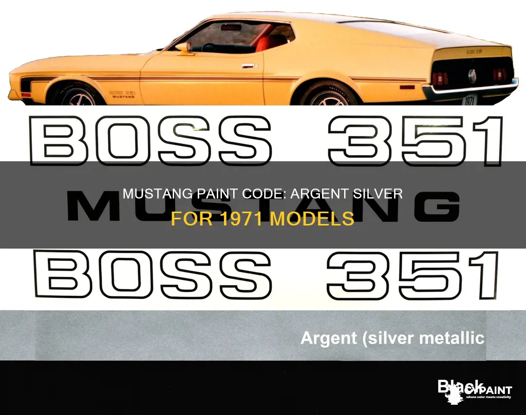 Mustang Paint Code: Argent Silver For 1971 Models | CyPaint