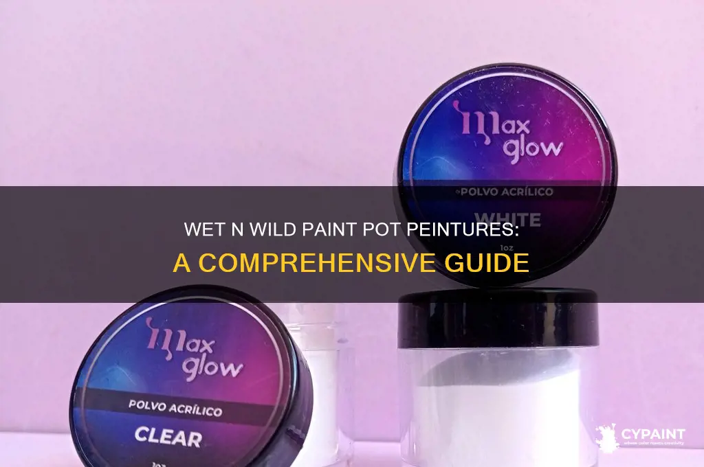 Wet N Wild Paint Pot Peintures: A Comprehensive Guide | CyPaint