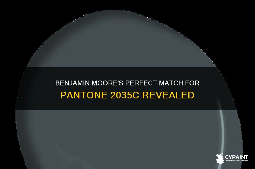 Benjamin Moore's Perfect Match For Pantone 2035C Revealed | CyPaint