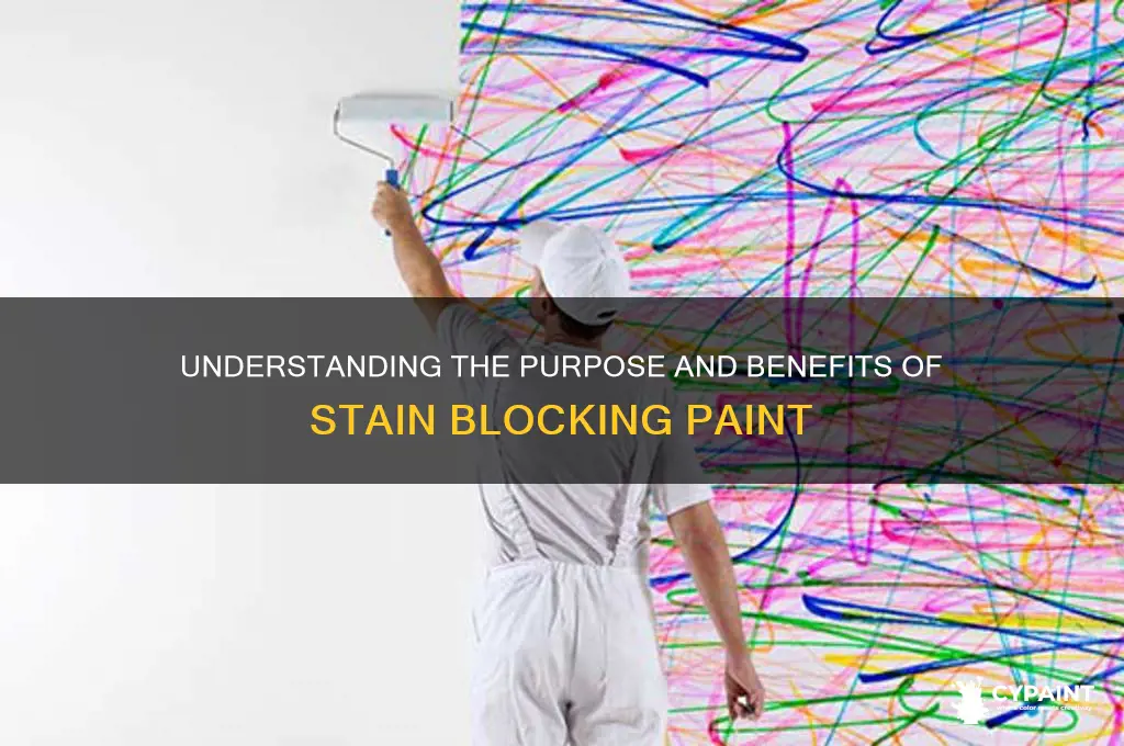 Understanding The Purpose And Benefits Of Stain Blocking Paint | CyPaint