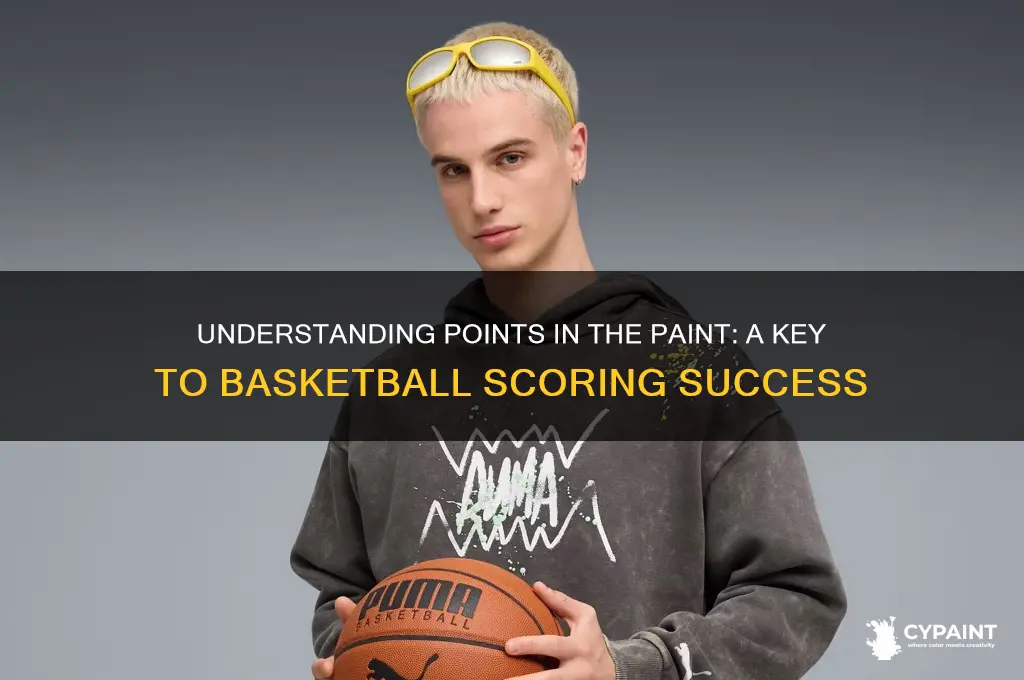 Understanding Points In The Paint: A Key To Basketball Scoring Success ...