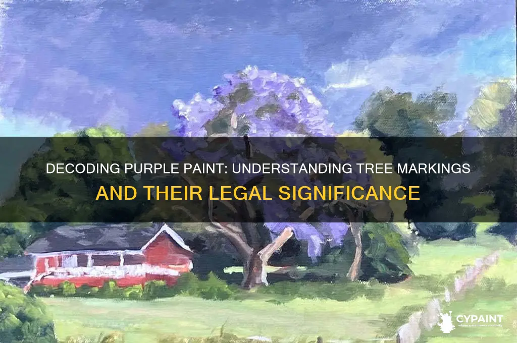 Decoding Purple Paint: Understanding Tree Markings And Their Legal ...