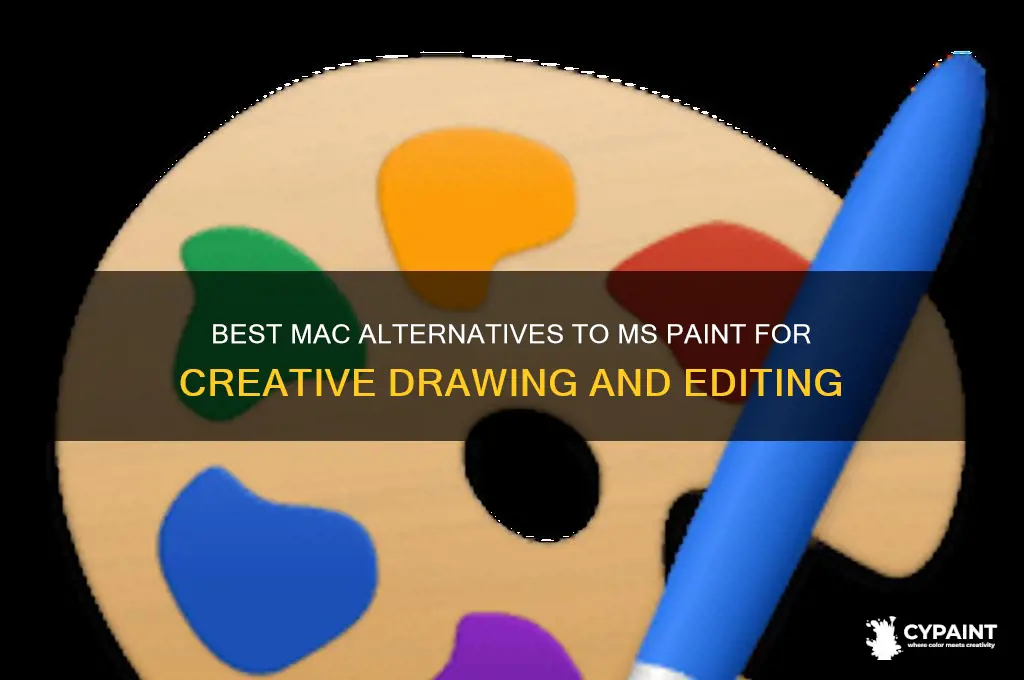 Best Mac Alternatives To Ms Paint For Creative Drawing And Editing ...