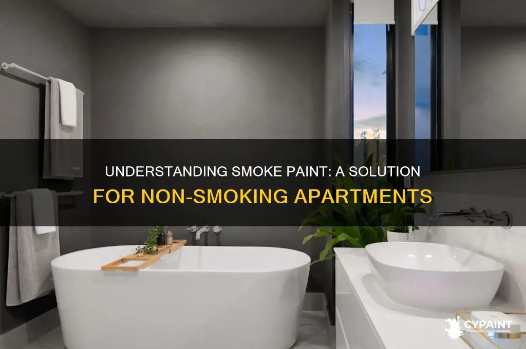 Understanding Smoke Paint: A Solution For Non-Smoking Apartments | CyPaint