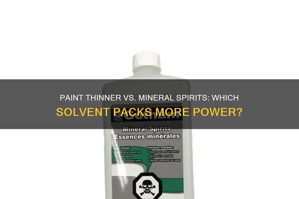 Paint Thinner Vs. Mineral Spirits: Which Solvent Packs More Power ...