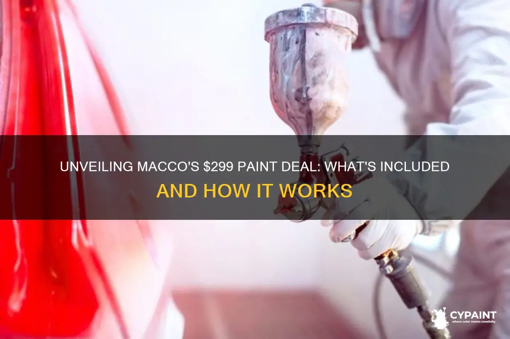 Unveiling Macco's $299 Paint Deal: What's Included And How It Works ...