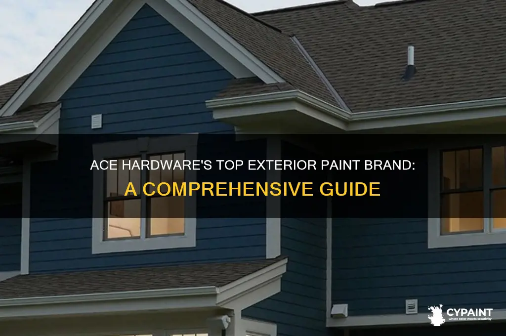 Ace Hardware's Top Exterior Paint Brand: A Comprehensive Guide | CyPaint
