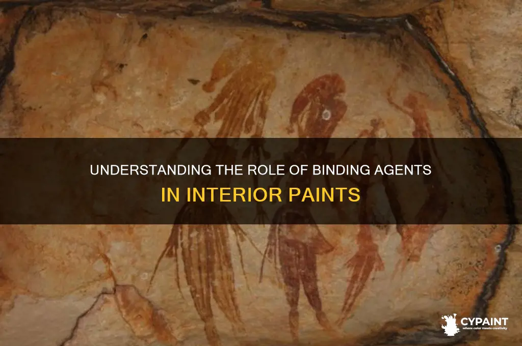 Understanding The Role Of Binding Agents In Interior Paints | CyPaint