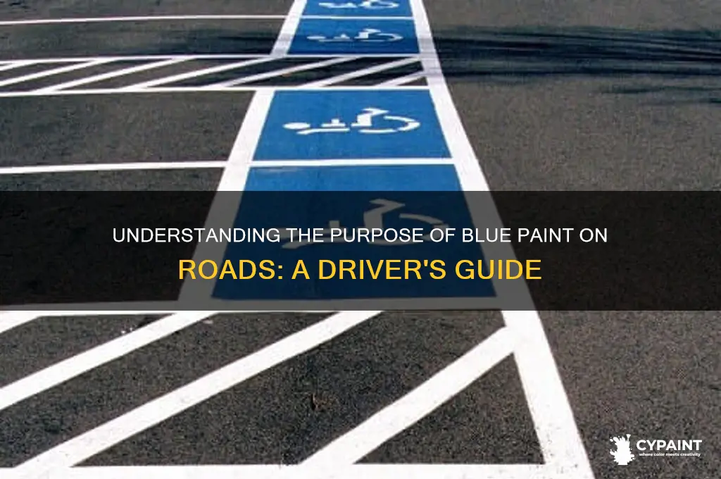 Understanding The Purpose Of Blue Paint On Roads: A Driver's Guide ...