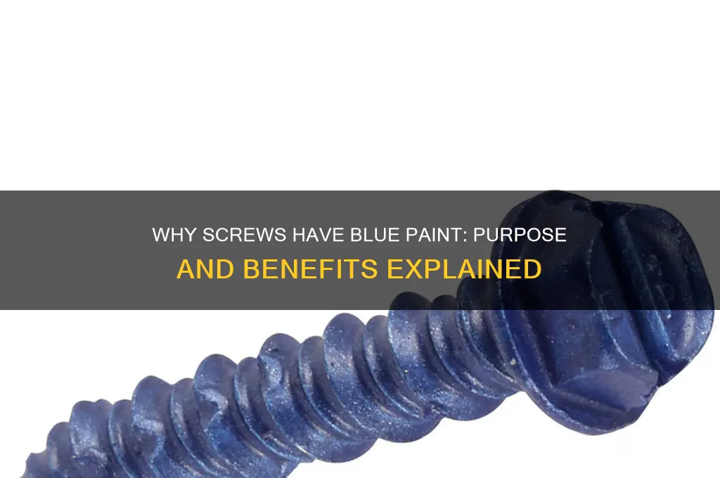 Why Screws Have Blue Paint: Purpose And Benefits Explained | CyPaint