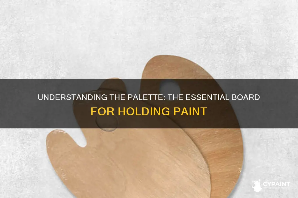 Understanding The Palette: The Essential Board For Holding Paint | CyPaint