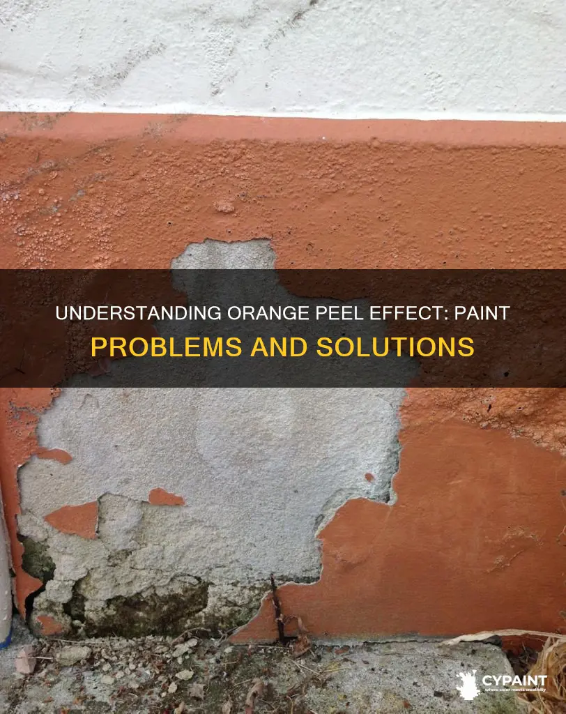 Understanding Orange Peel Effect: Paint Problems And Solutions | CyPaint