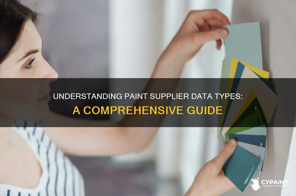 Understanding Paint Supplier Data Types: A Comprehensive Guide | CyPaint