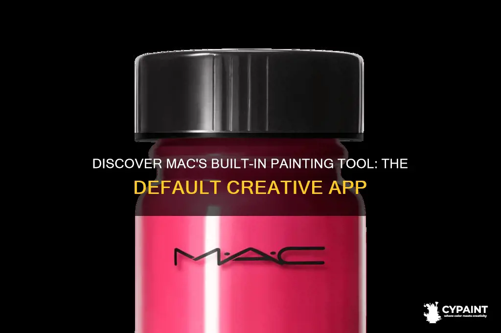 Discover Mac's Built-In Painting Tool: The Default Creative App | CyPaint