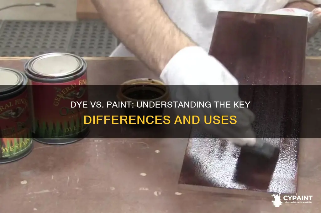 Dye Vs. Paint: Understanding The Key Differences And Uses | CyPaint