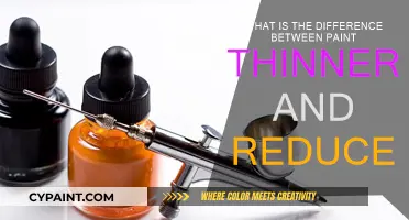 Solvent Vs. Paint Thinner: What's The Difference? | CyPaint
