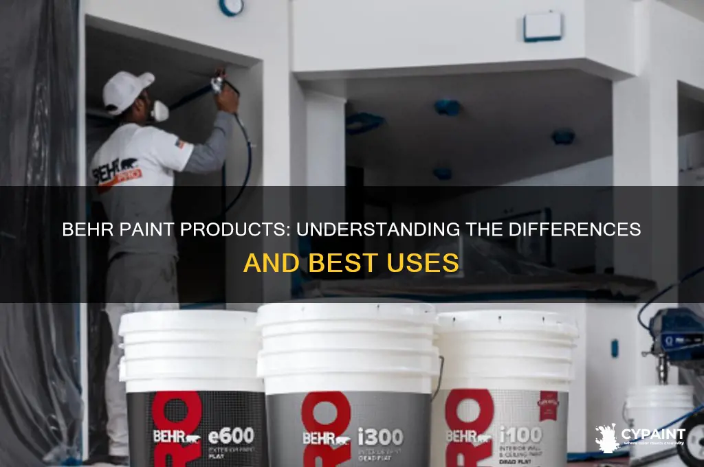 Behr Paint Products: Understanding The Differences And Best Uses | CyPaint