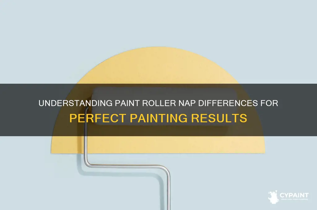 Understanding Paint Roller Nap Differences For Perfect Painting Results ...