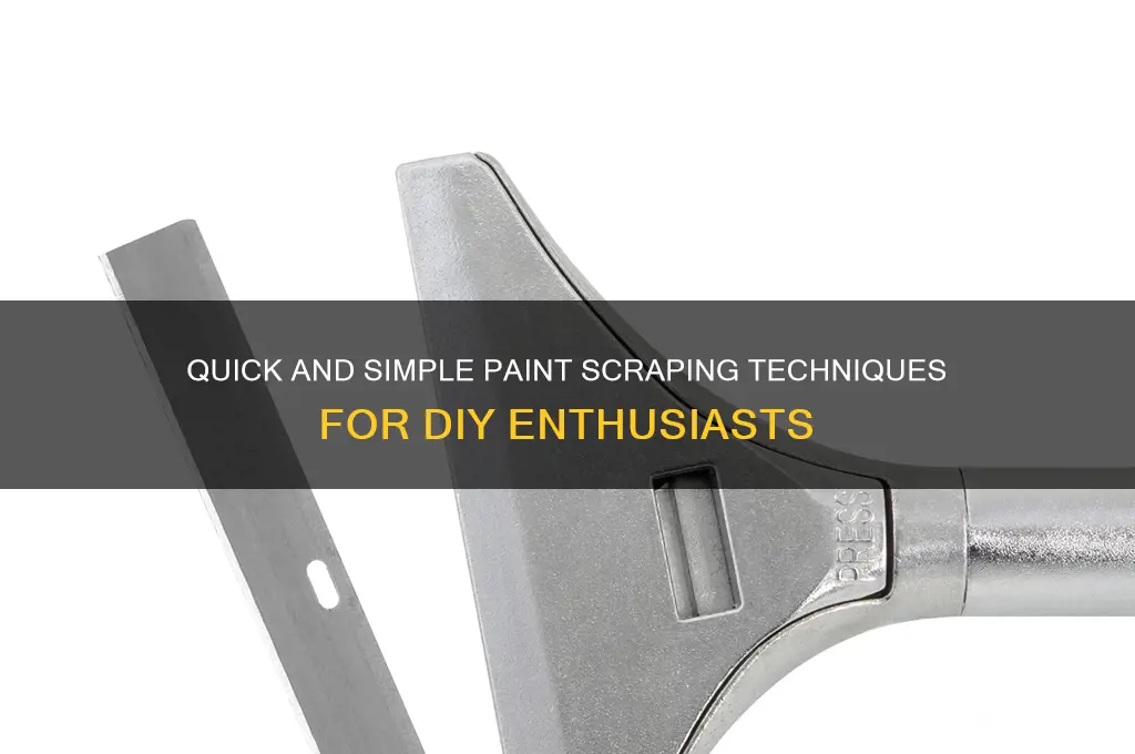 Quick And Simple Paint Scraping Techniques For Diy Enthusiasts | CyPaint