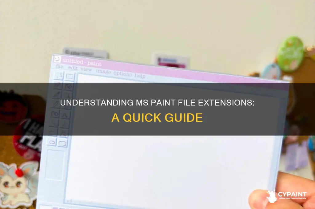 Understanding Ms Paint File Extensions: A Quick Guide | CyPaint