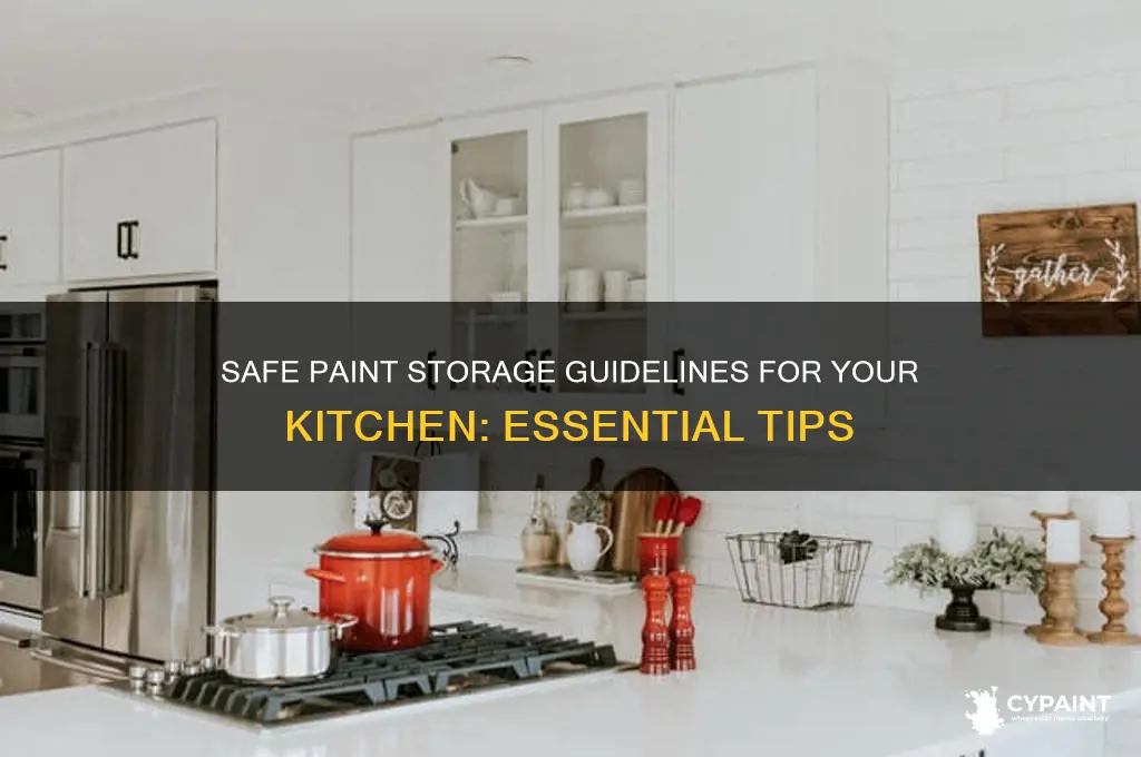 Safe Paint Storage Guidelines For Your Kitchen: Essential Tips | CyPaint