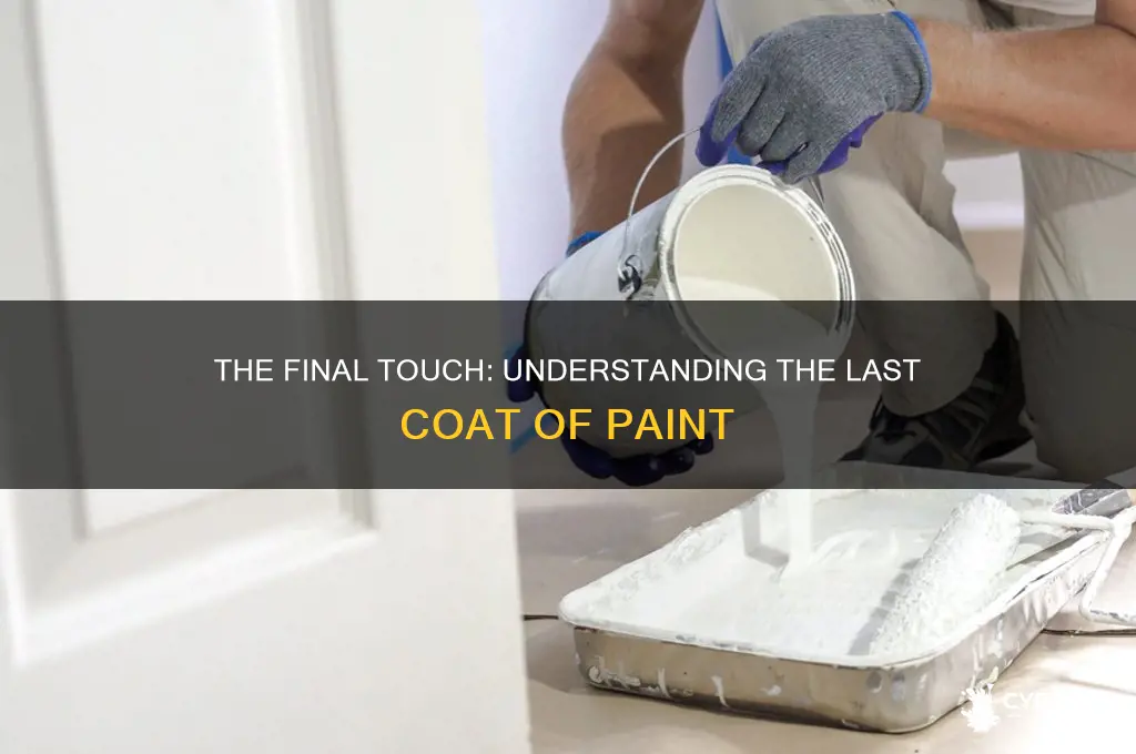 The Final Touch: Understanding The Last Coat Of Paint | CyPaint