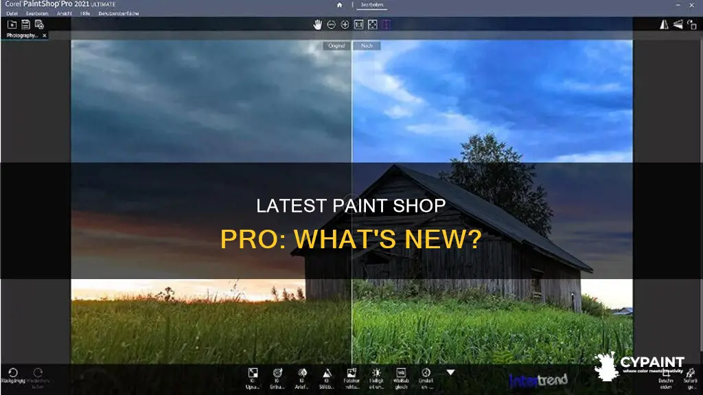 Latest Paint Shop Pro: What's New? | CyPaint